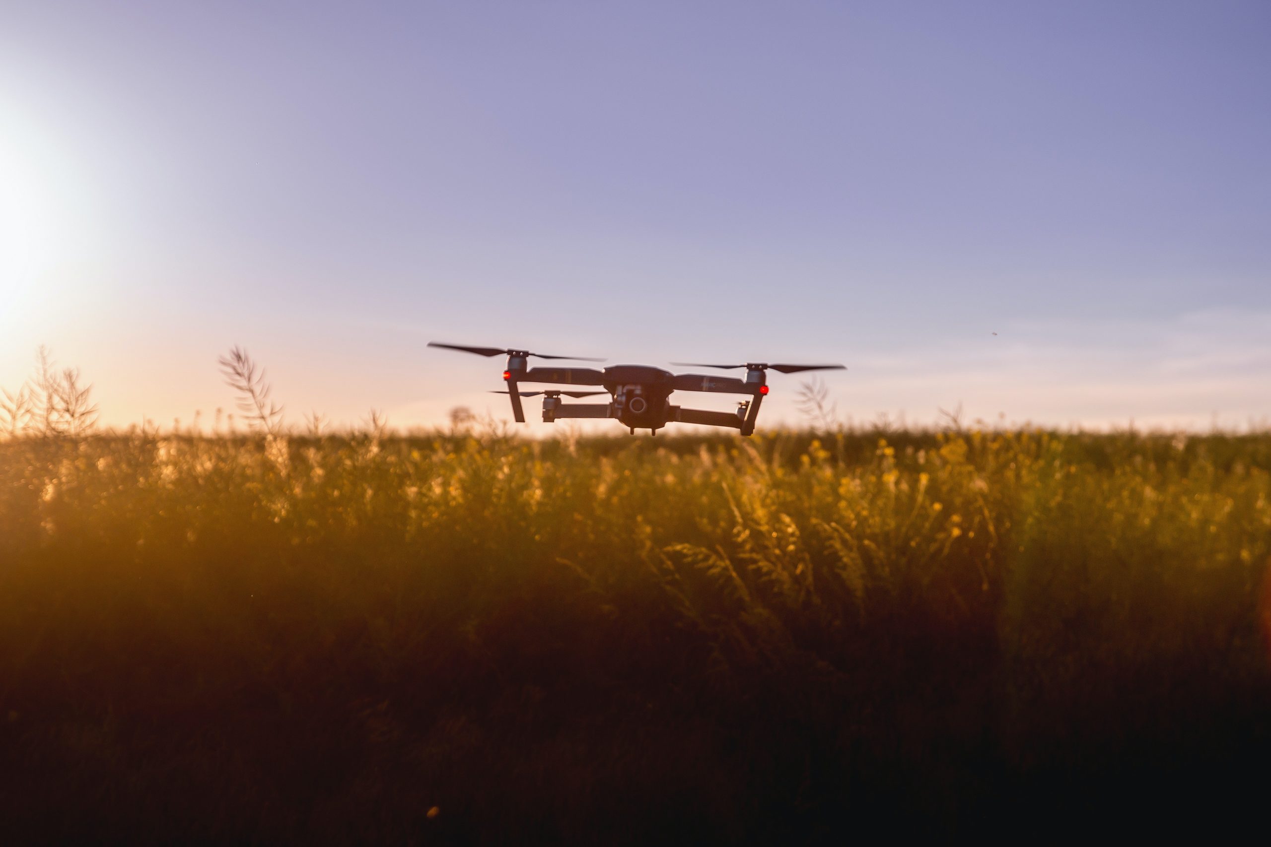 Drones and Crop Monitoring - The Primary Sector of the Global Economy